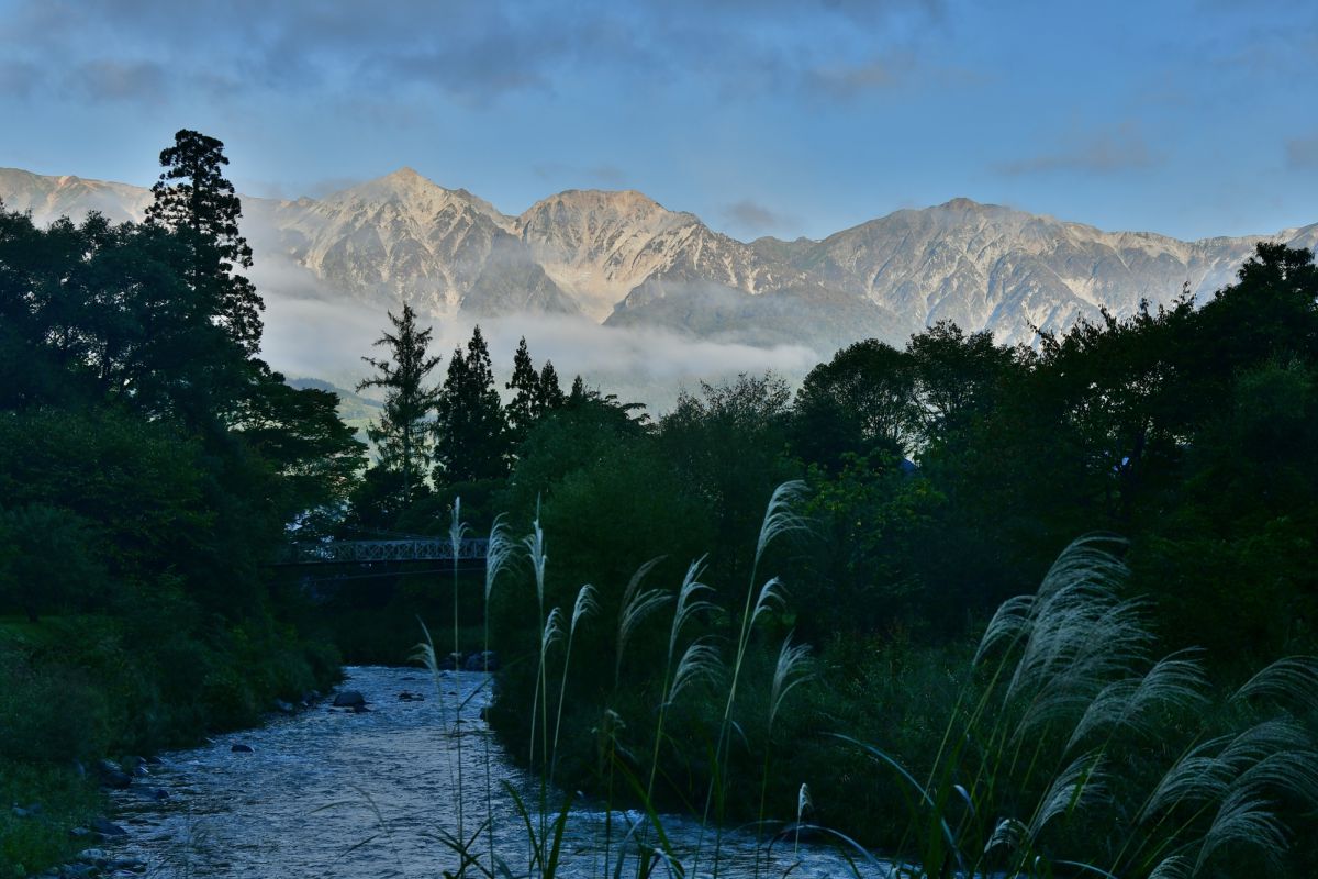 姫川初秋 | GANREF