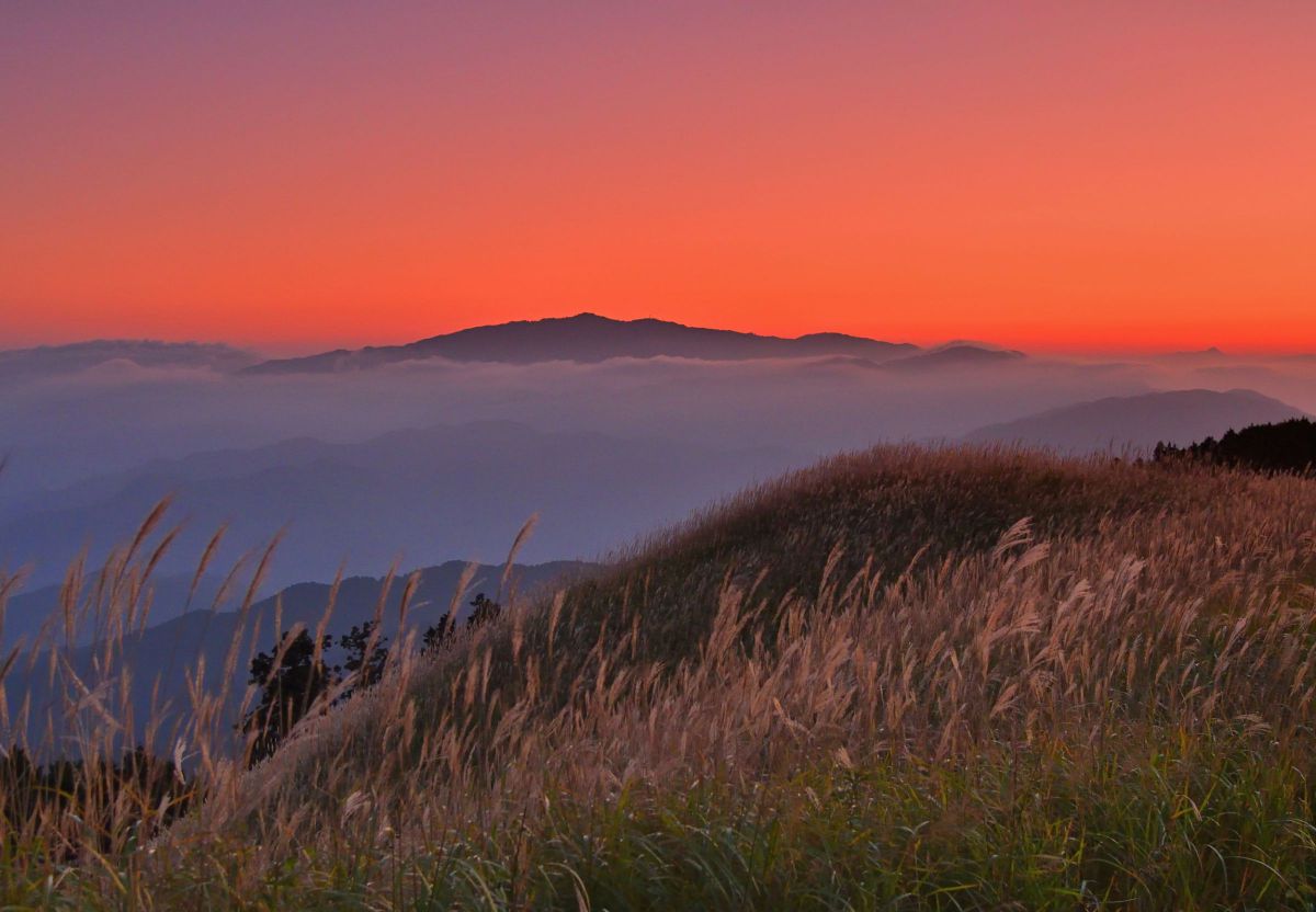 Mt. Kongo in the sea of clouds | GANREF