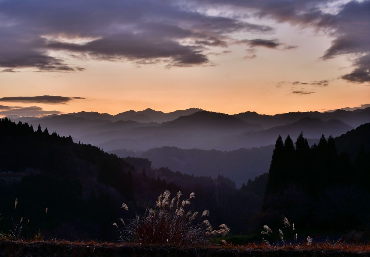 夜明け前 | GANREF