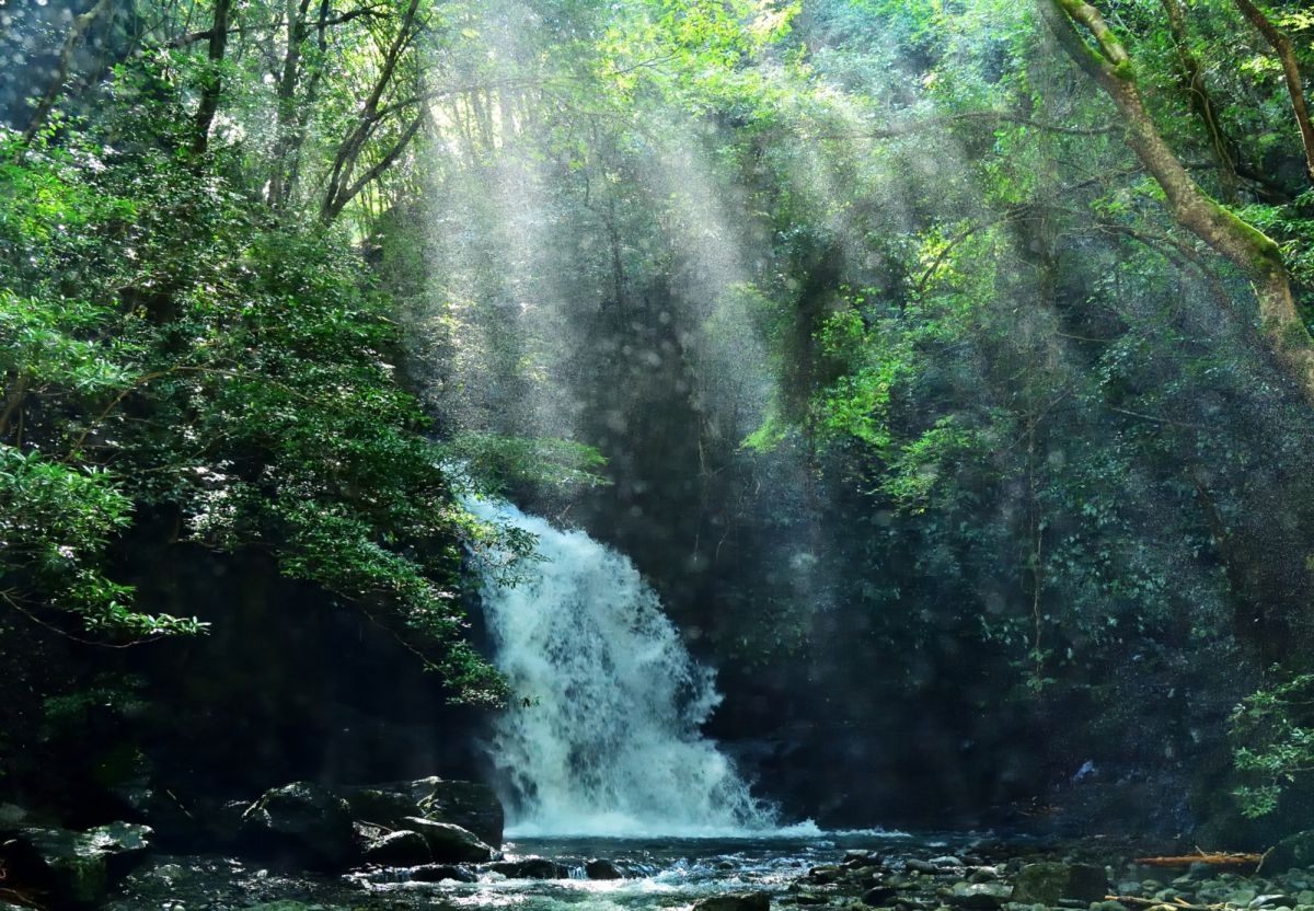 Misty world | GANREF