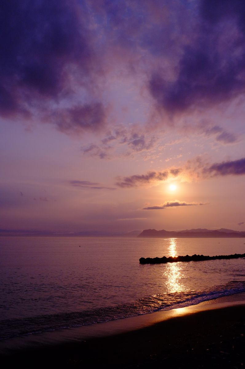 murasaki sunset | GANREF