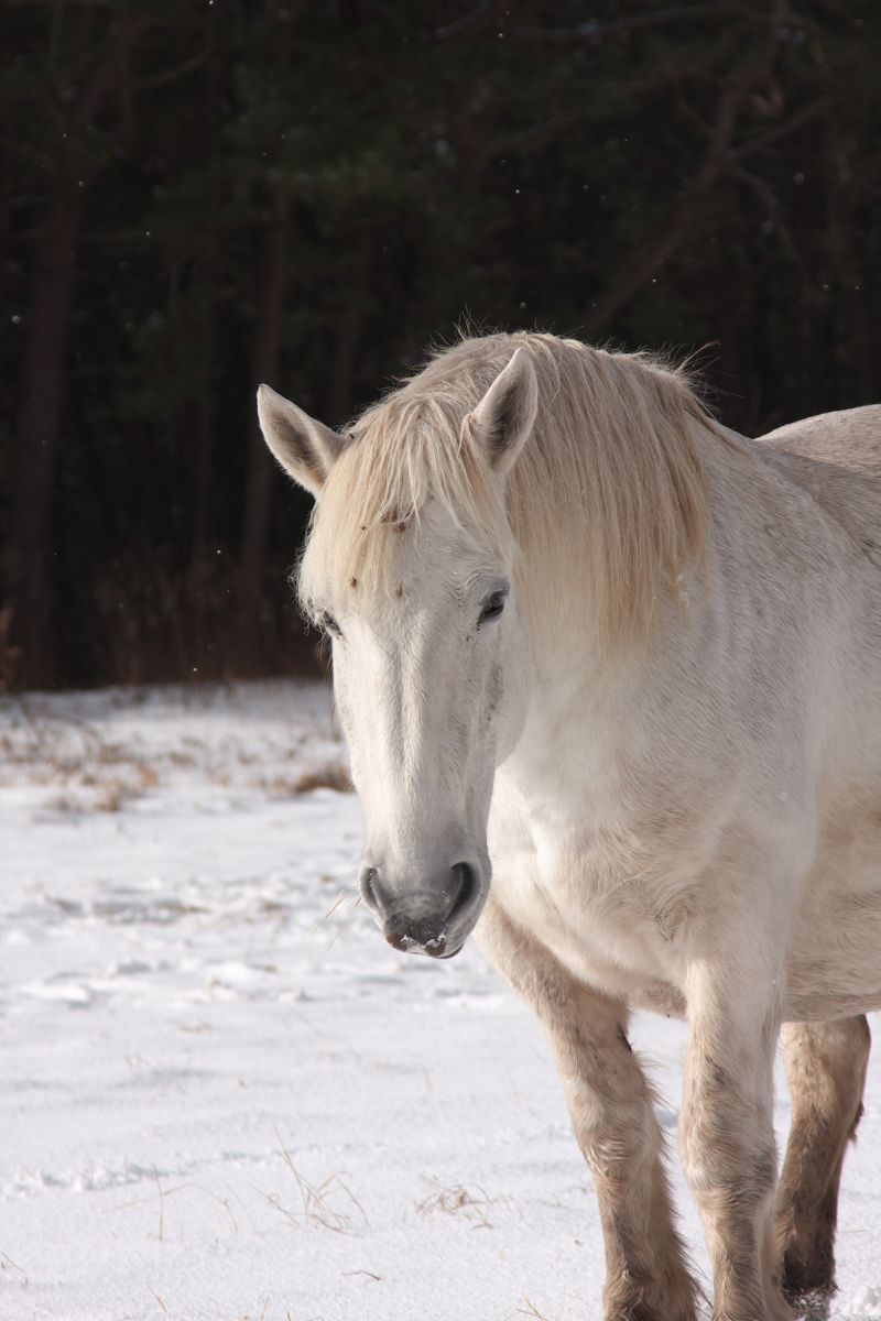 Hello again | GANREF