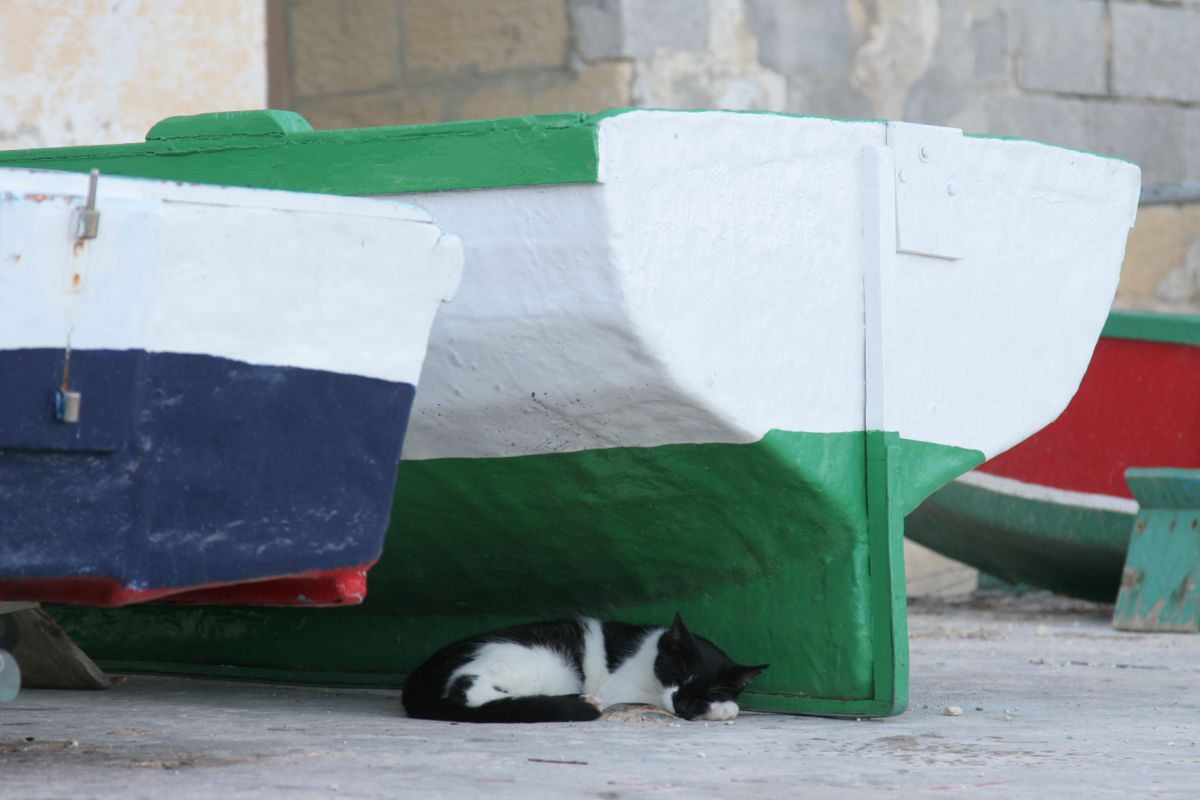Siesta in Malta | GANREF
