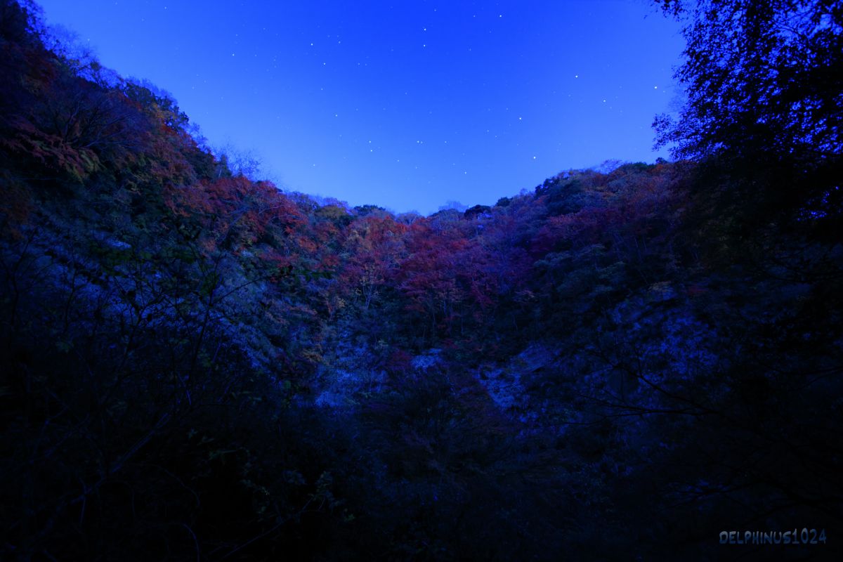 scarlet in blue | GANREF