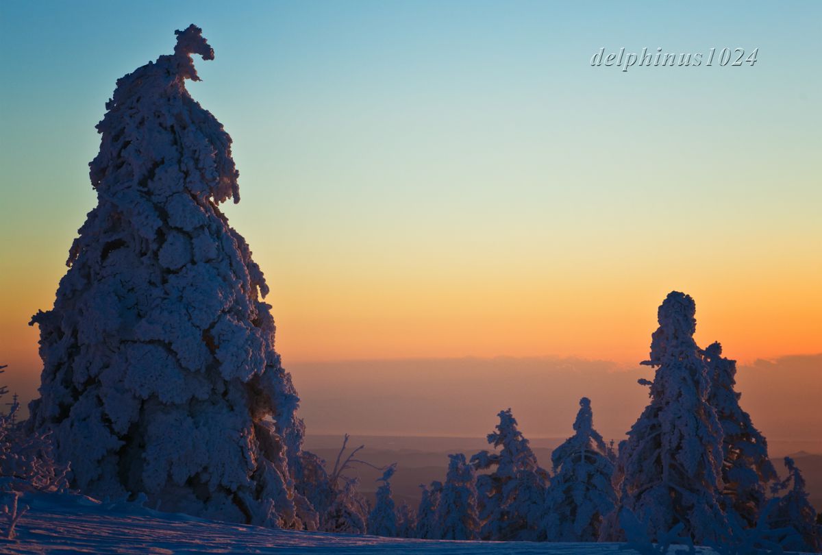 twin monsters | GANREF