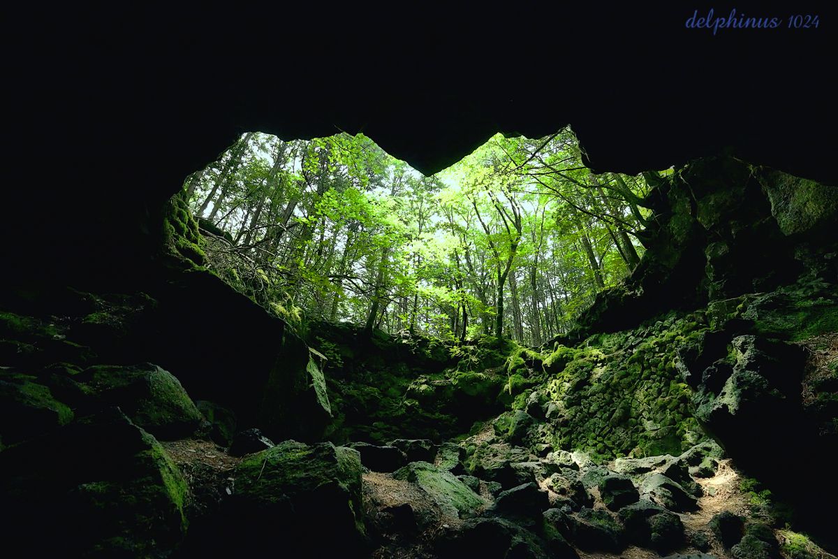 Heart Cave | GANREF