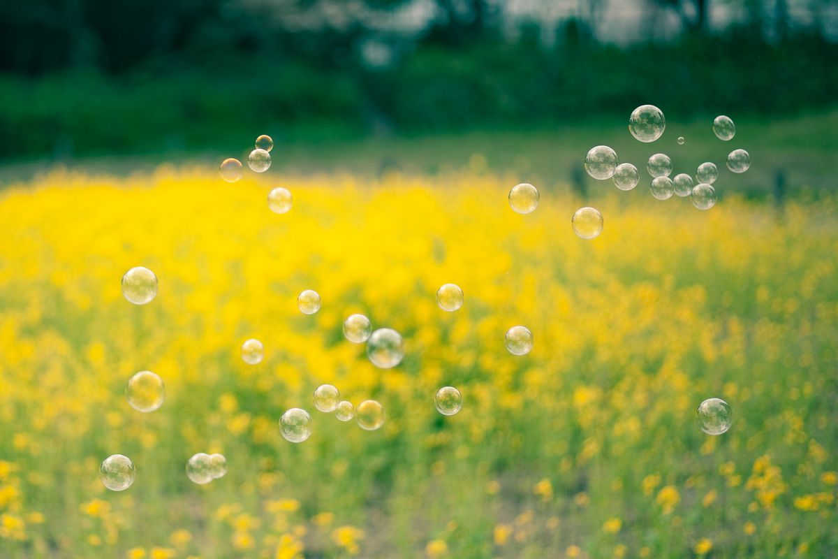 spring bubbles | GANREF