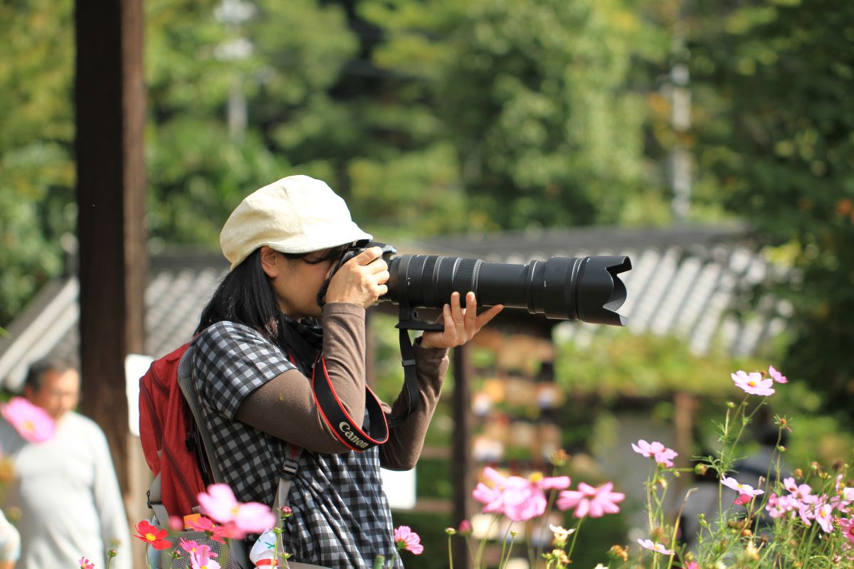 キャノン砲発射～！！！ | GANREF