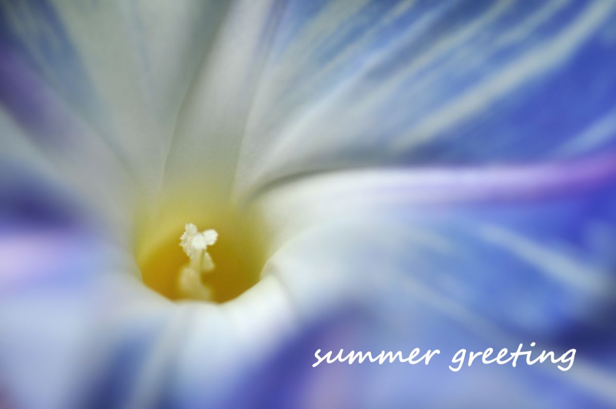 summer greeting | GANREF