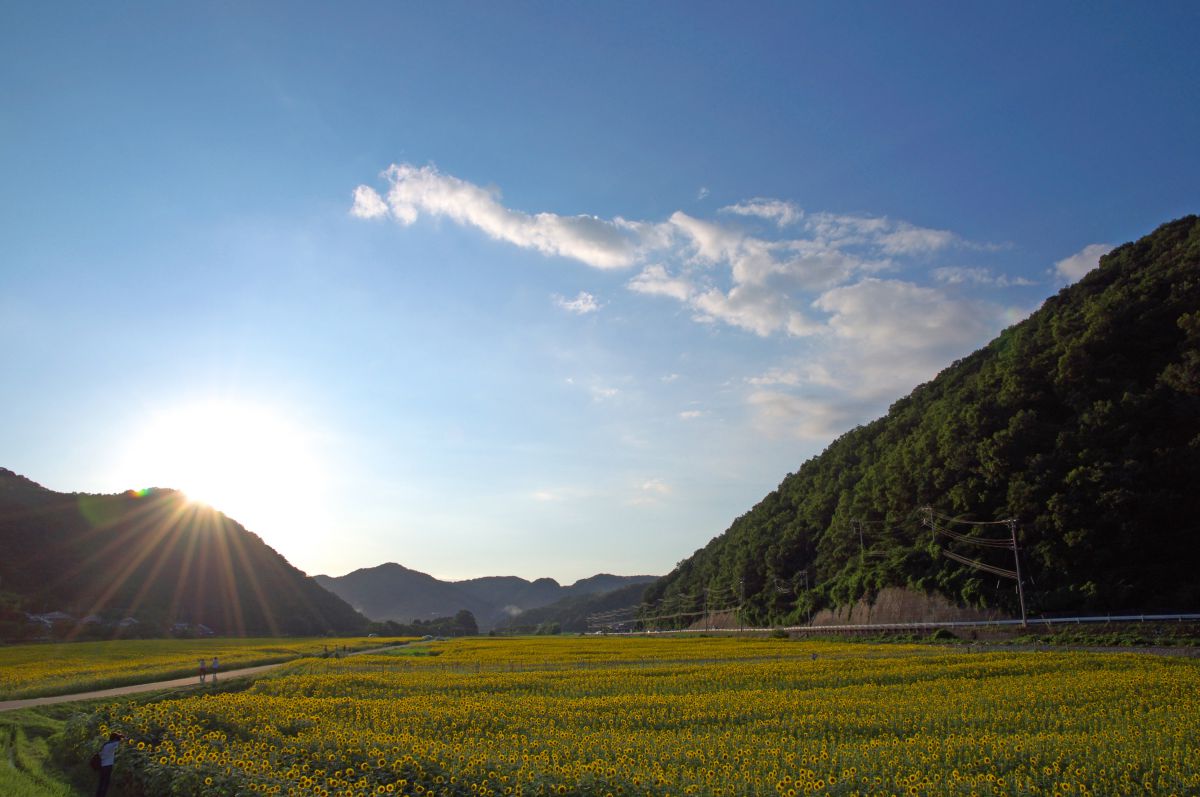 さぁ帰ろ | GANREF