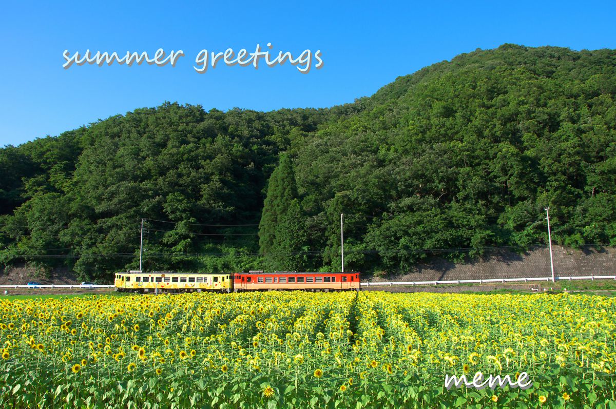 summer greetings | GANREF
