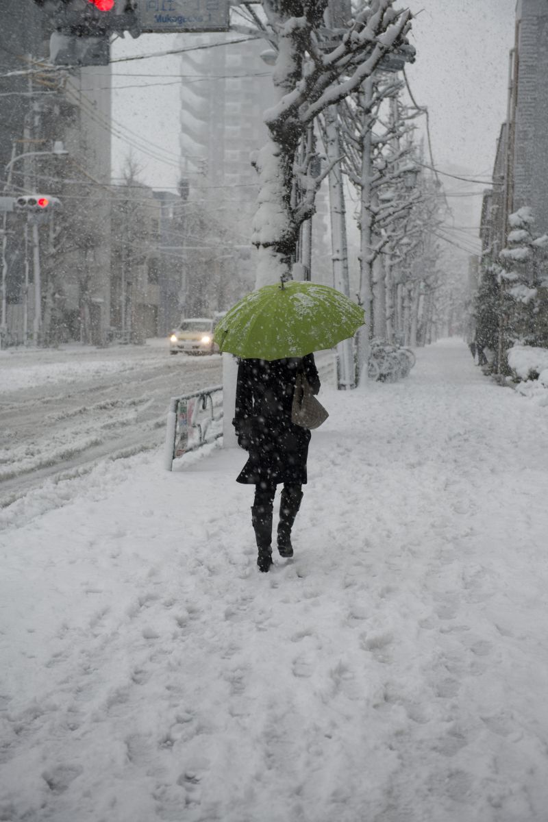 walking on snow road at TOKYO | GANREF