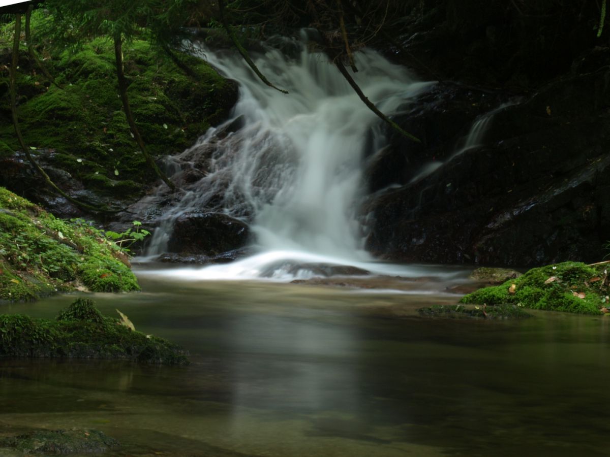 流れの中で | GANREF