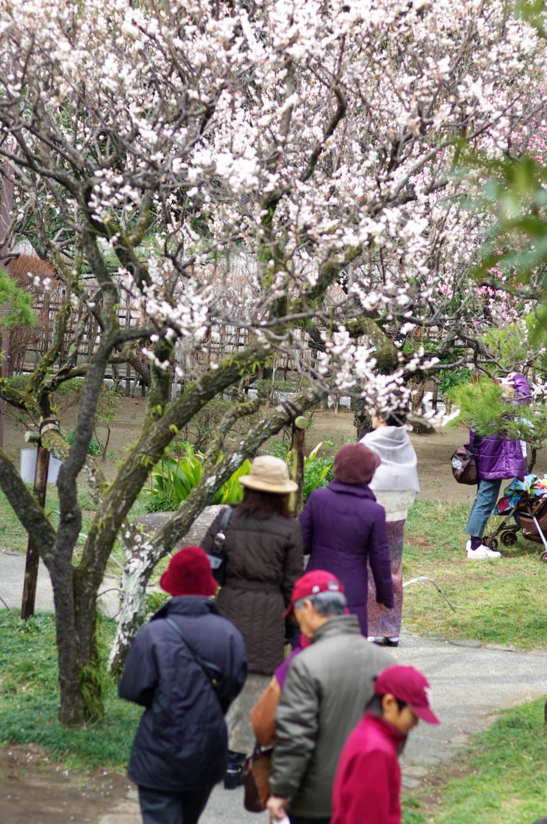 IMGP8709.JPG | GANREF