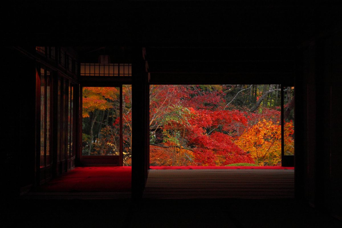 深まる秋 | GANREF