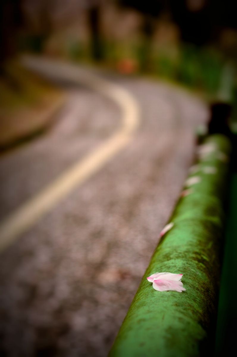 自転車レーン | GANREF