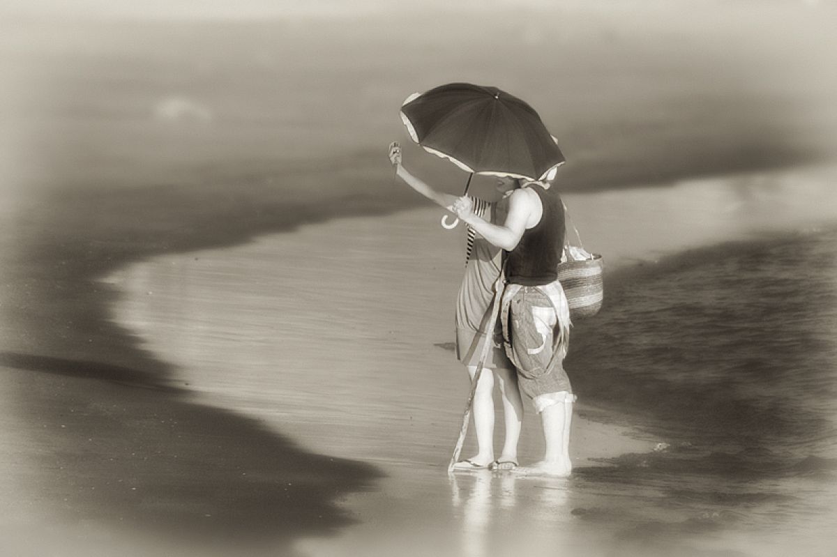 Memory of the summer ☆ | GANREF