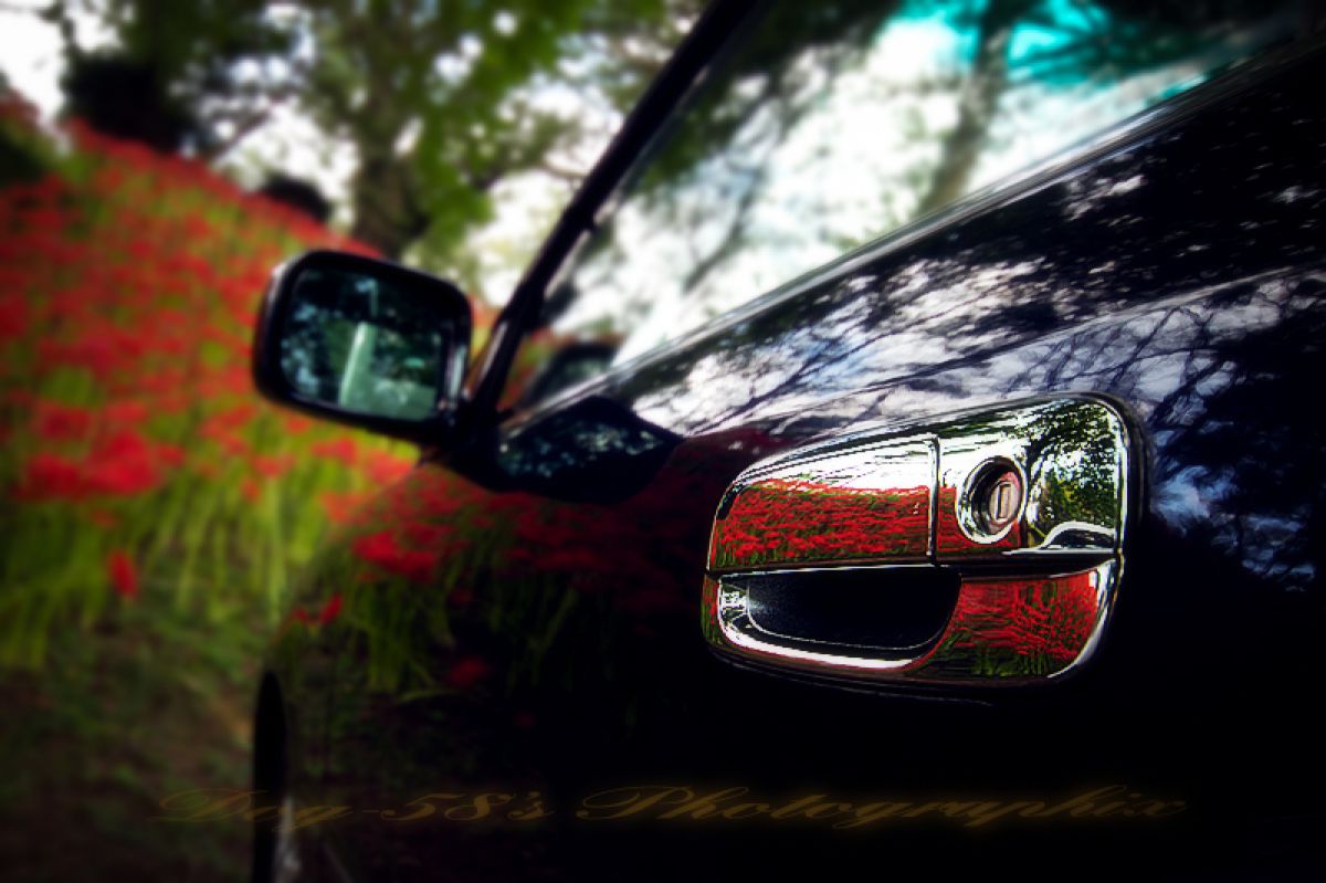 Flowers in the chrome ☆ | GANREF