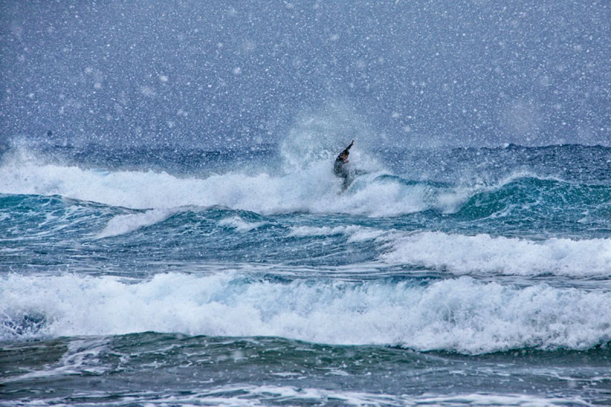 Surf & Snow ☆ | GANREF