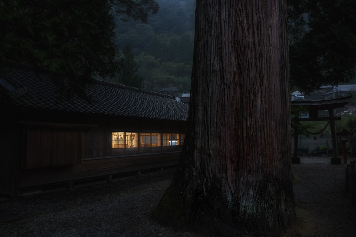 Soul Tree 6 ☆ | GANREF