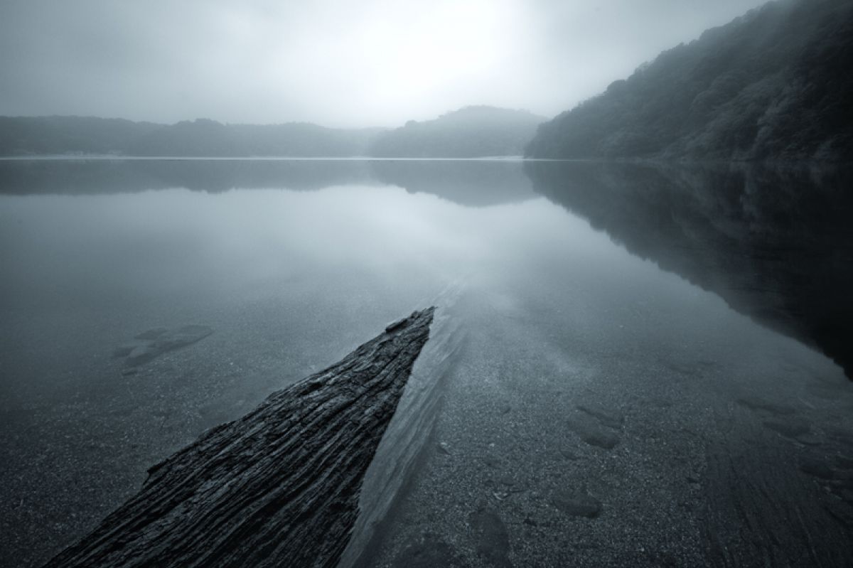 Misty Lake ☆ | GANREF