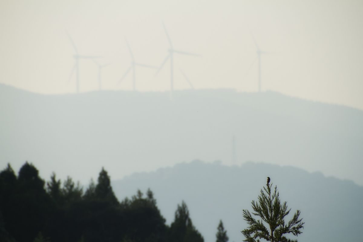 A windmill and a bird. 2 ☆ | GANREF