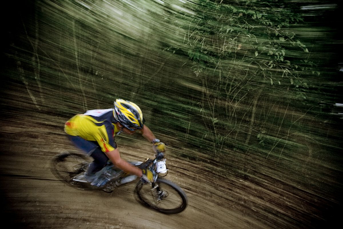 Forest Runner | GANREF