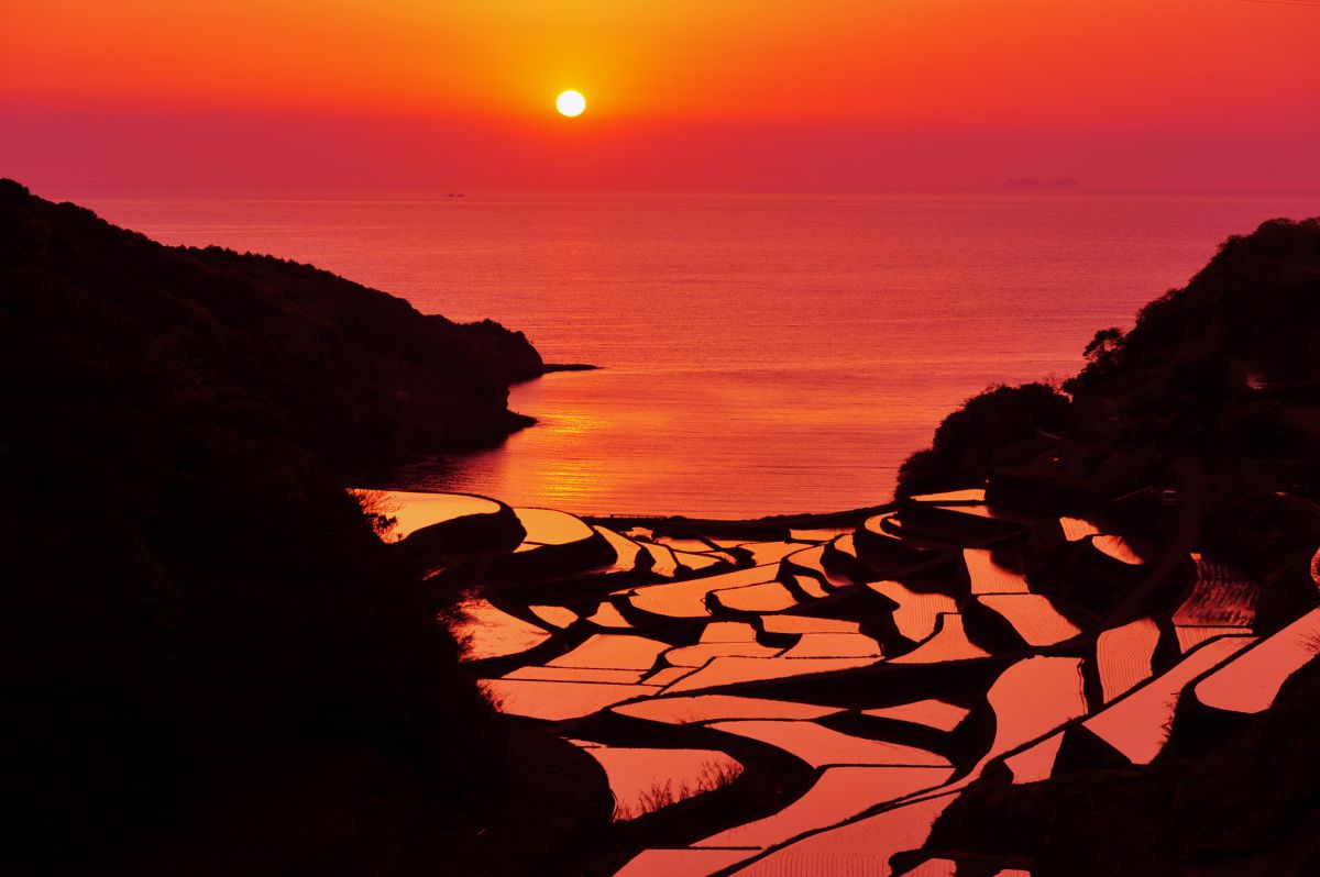 燃える棚田（浜野浦） | GANREF