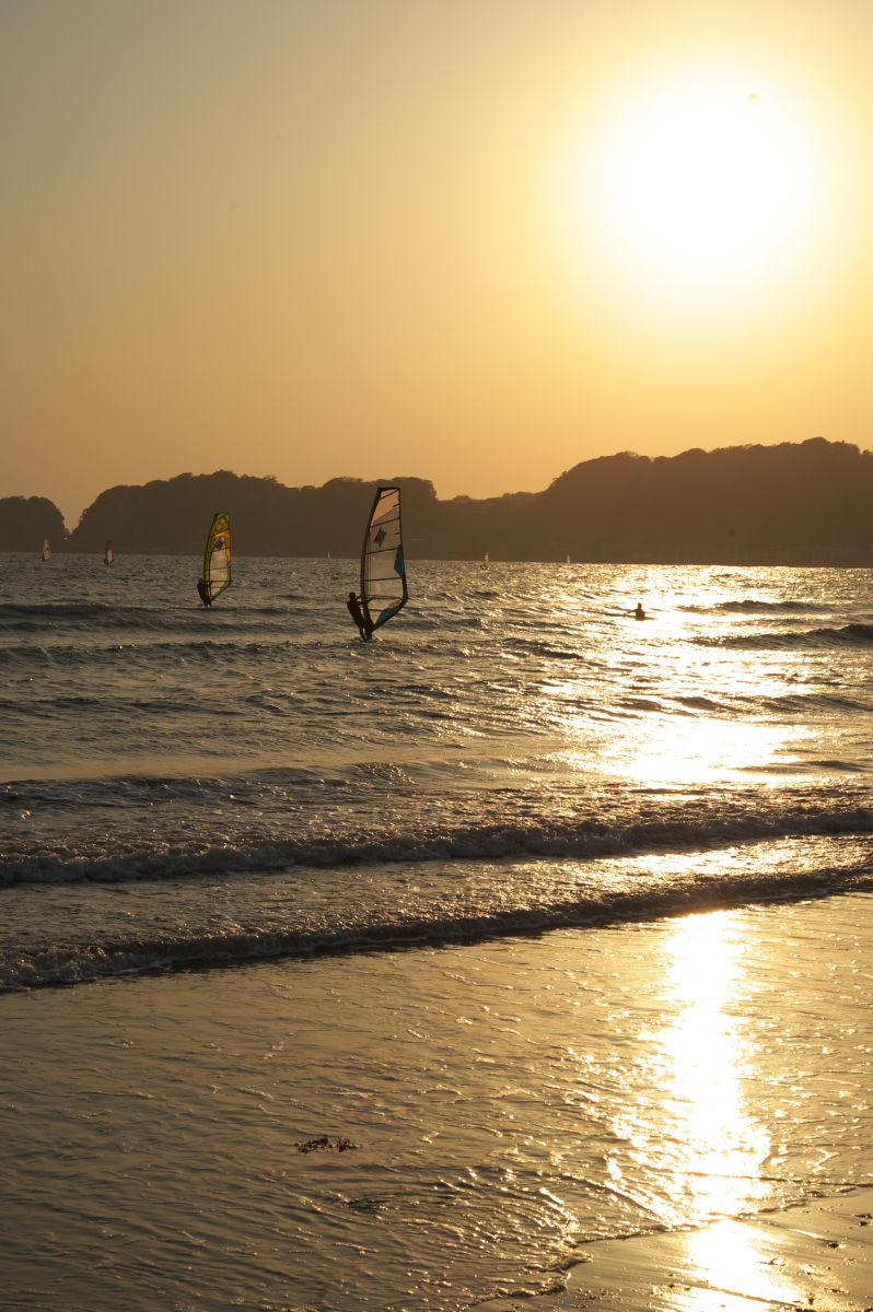 zaimoku-za, 5:42 pm | GANREF