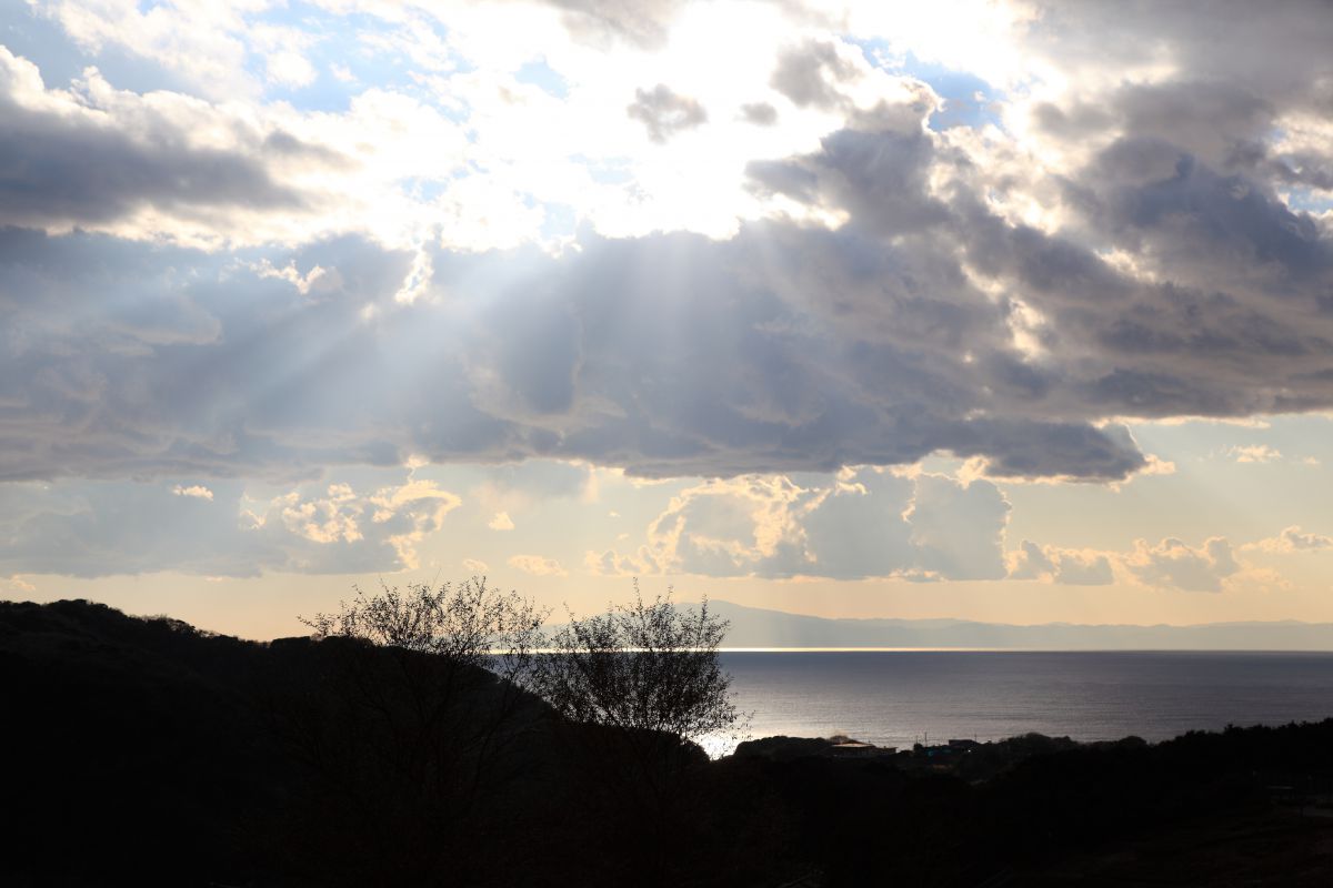 Rembrandt rays | GANREF