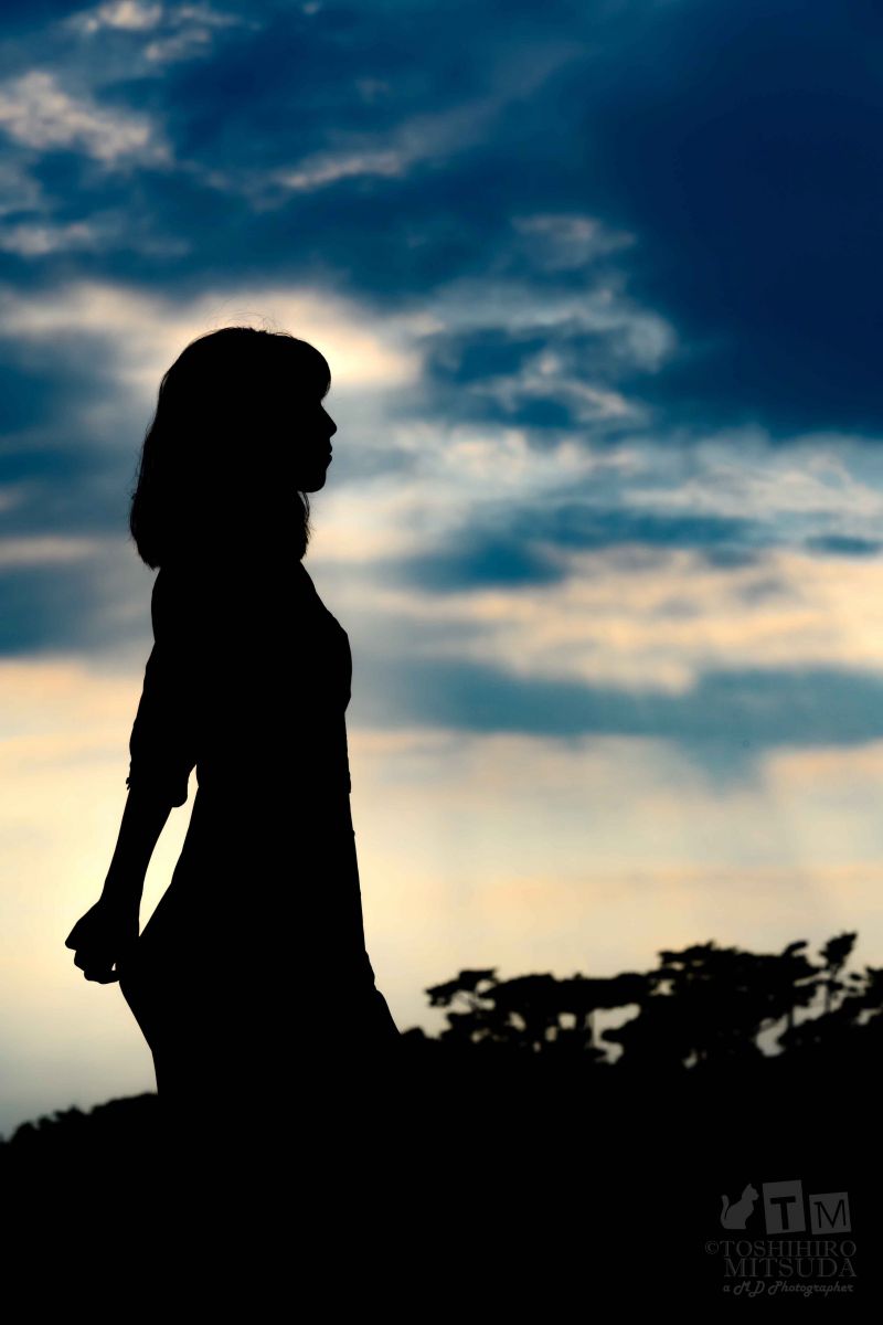 Sand hill with crepuscular rays Part II | GANREF