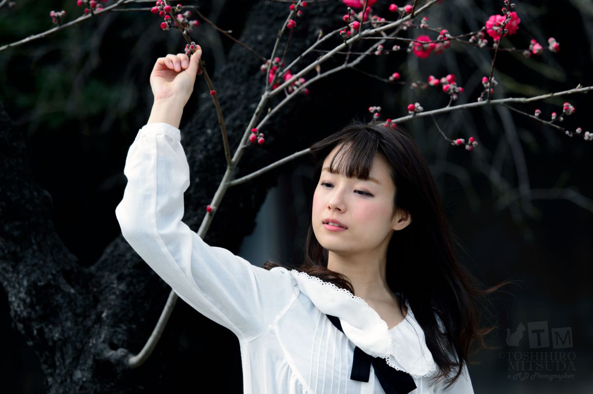 Feel the spring wind | GANREF