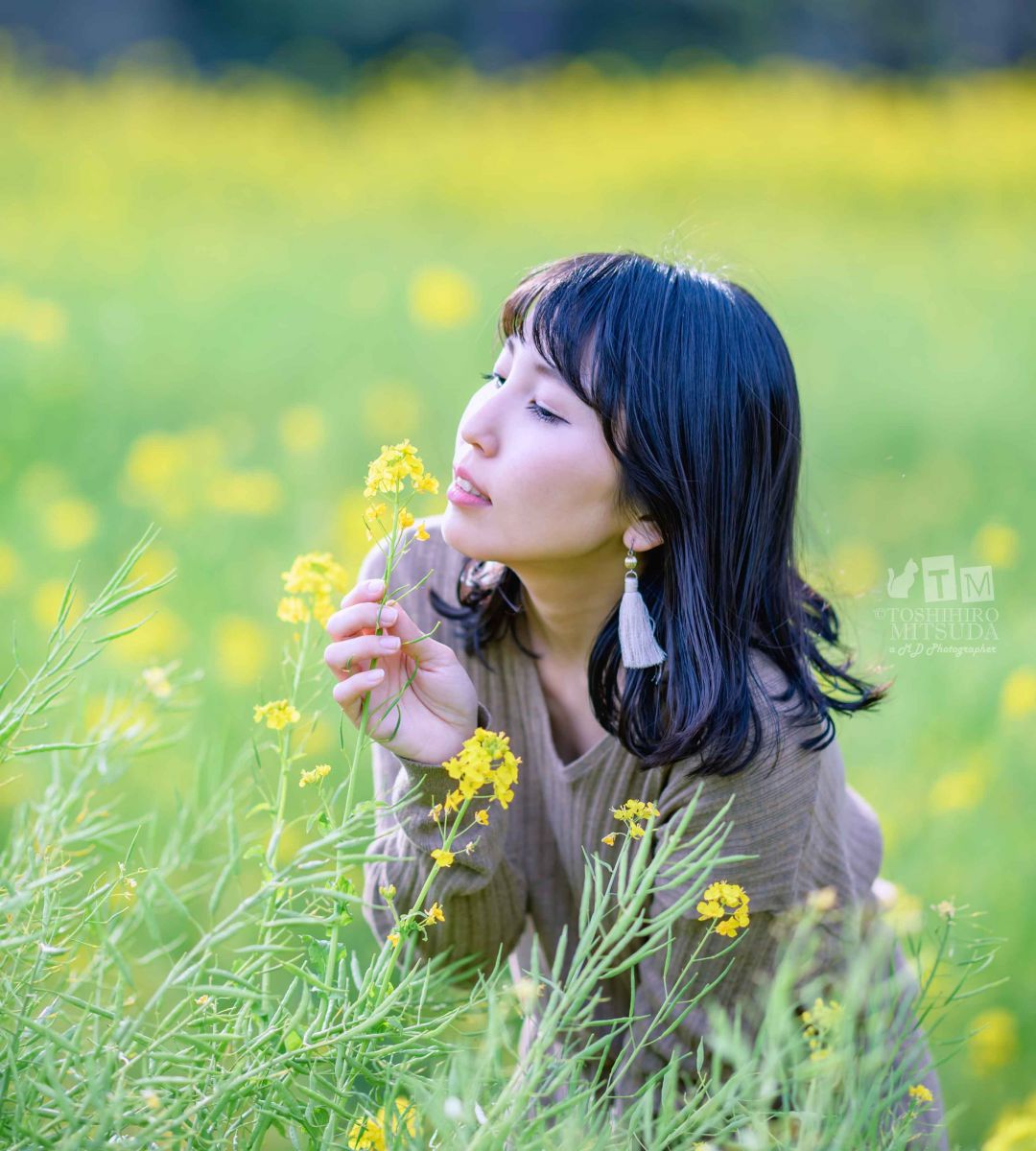 菜の花畑で捕まえて PartII | GANREF