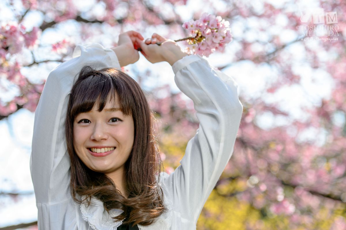 サクラシャワー | GANREF