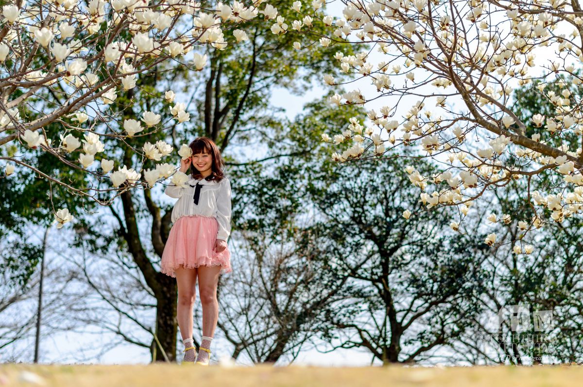 ハクモクレンの丘で待ってます | GANREF