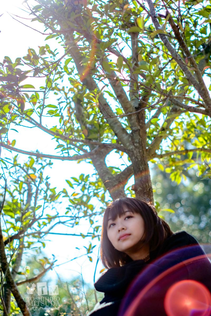 虹の輪に包まれて | GANREF