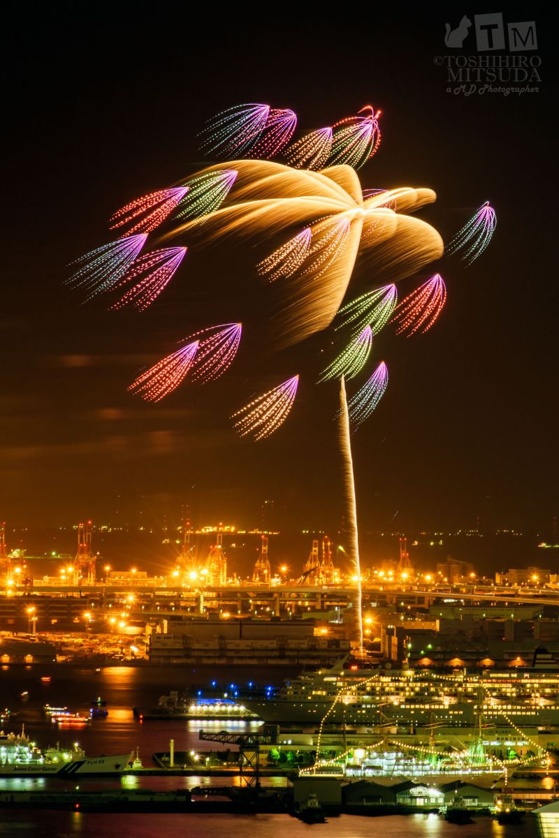 スパークリング橫浜2015 | GANREF