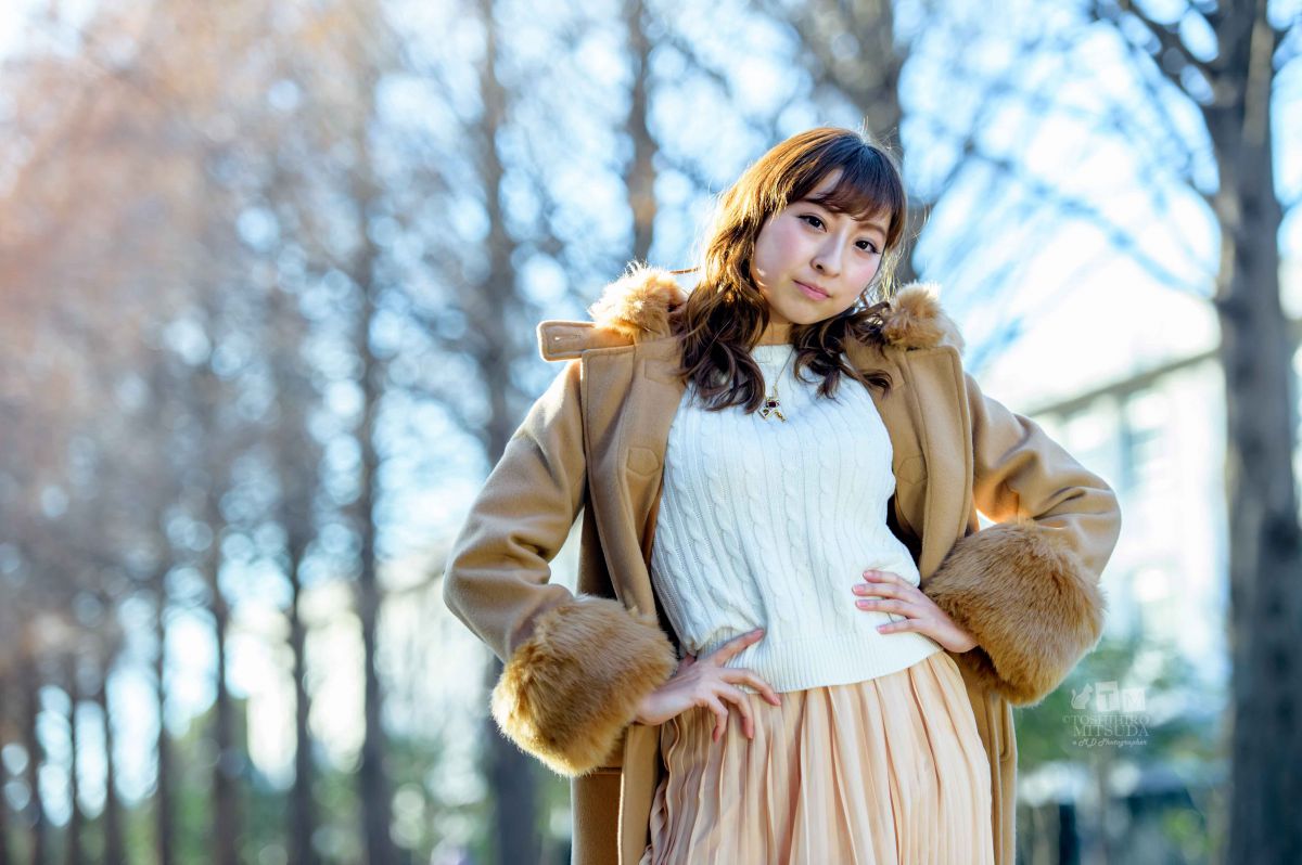 冬並木Part II | GANREF