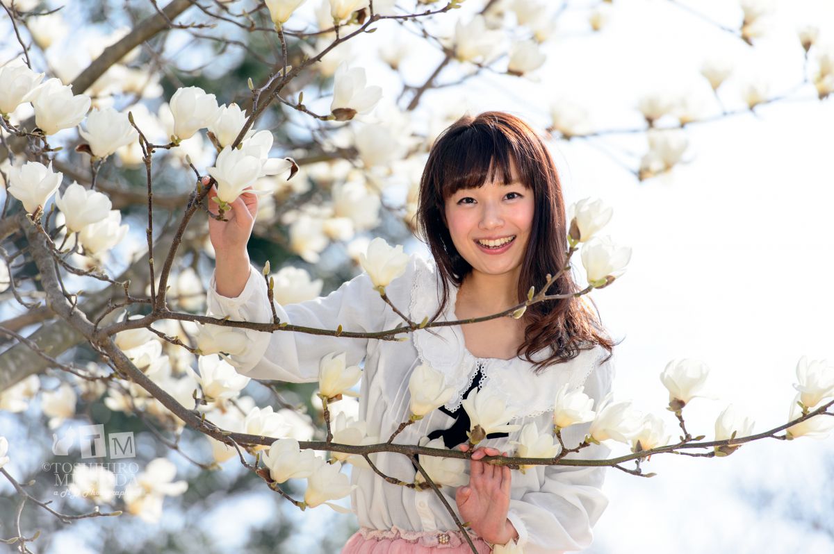 ハクモクレンの丘PartII | GANREF