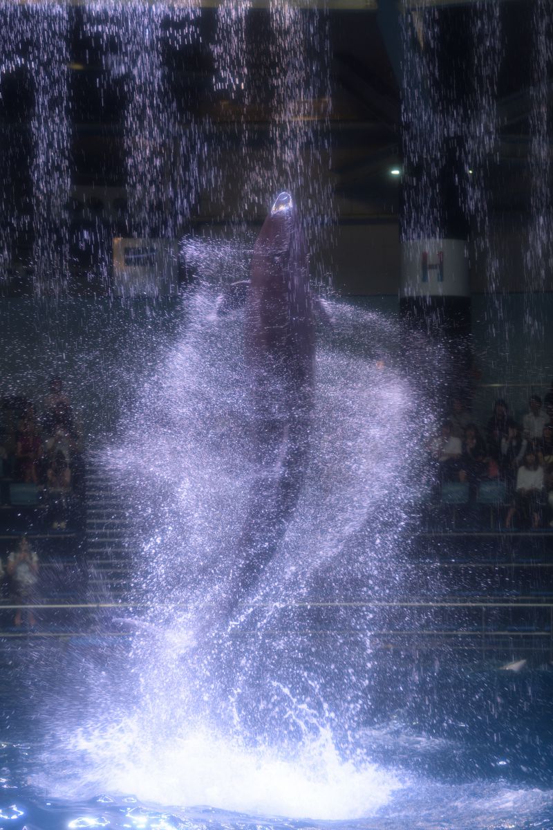 Tornado Jump | GANREF