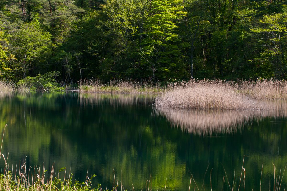 Underground | GANREF