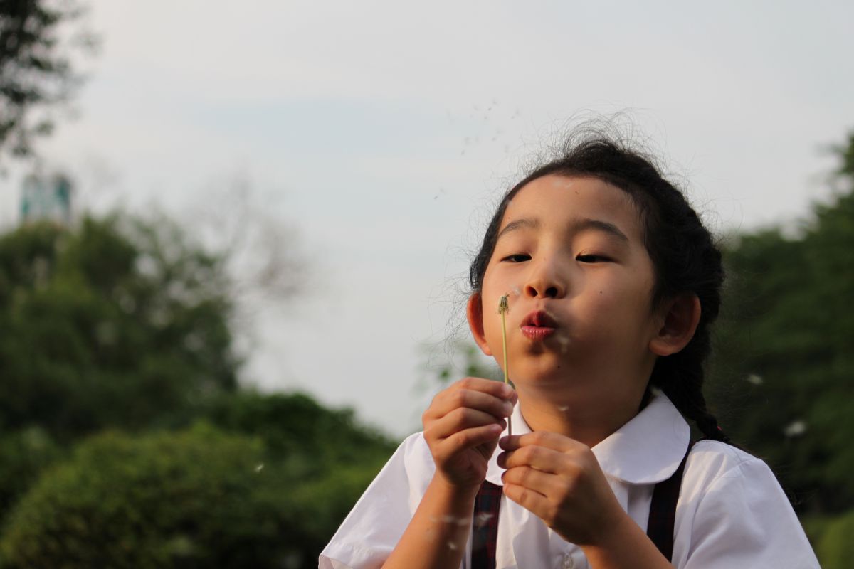 IMG_0113.JPG | GANREF