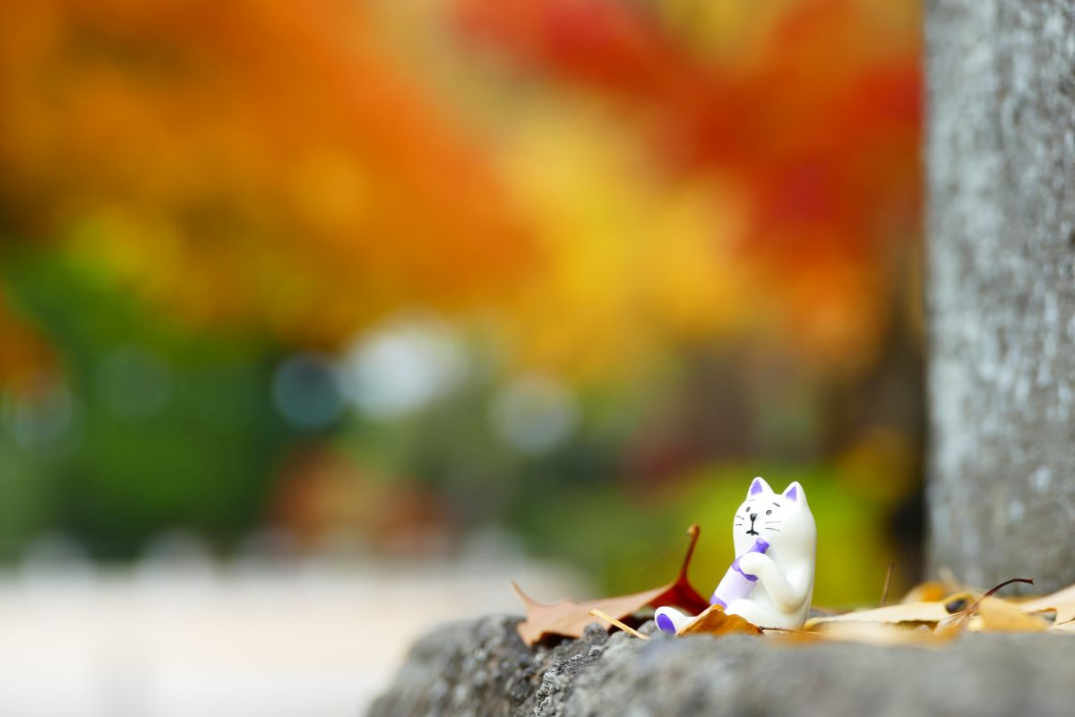 静寂の杜 | GANREF