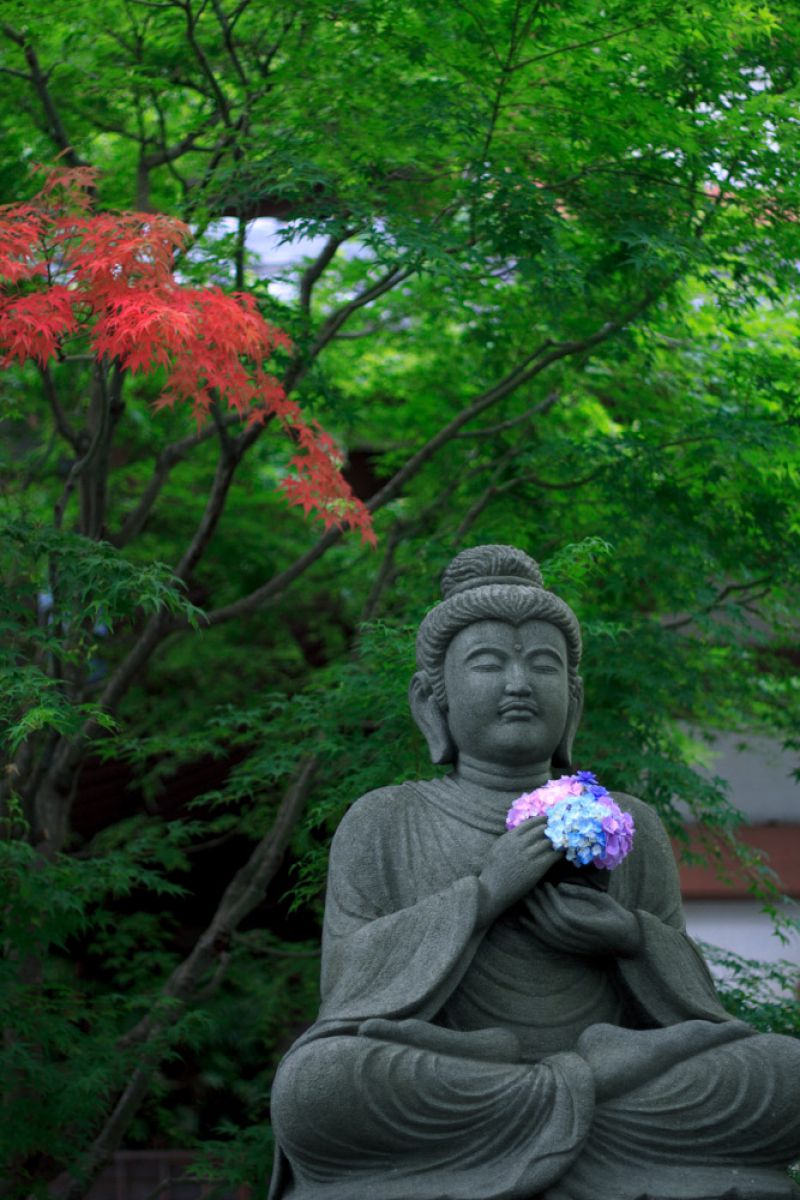 色即是空、空即是色 | GANREF