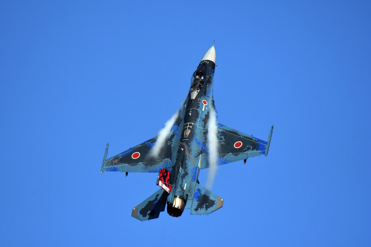 F-2デジタル迷彩 | GANREF