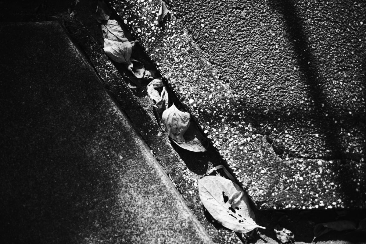 落ち葉物語d | GANREF