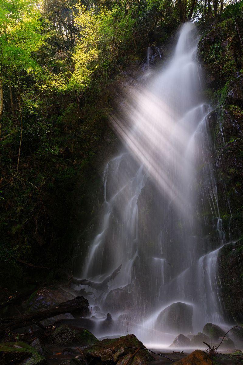 湯ヶ島大滝 | GANREF