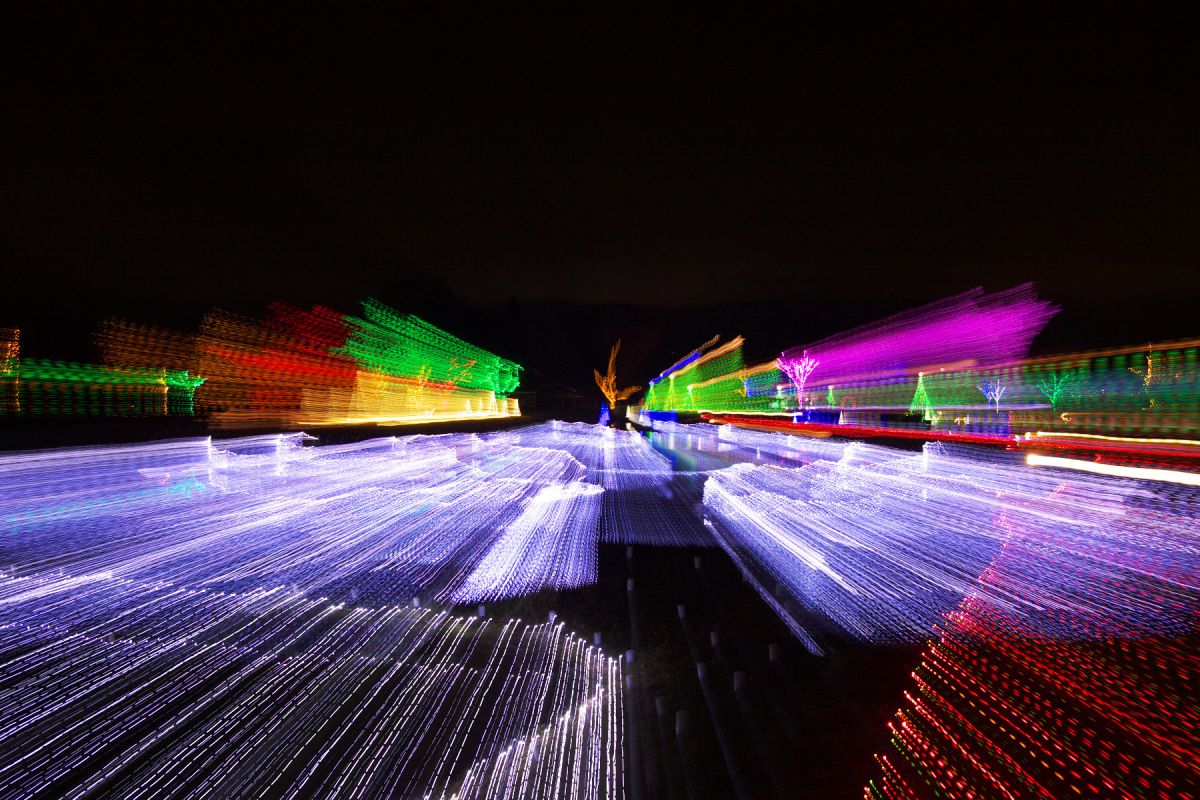 光輝world | GANREF