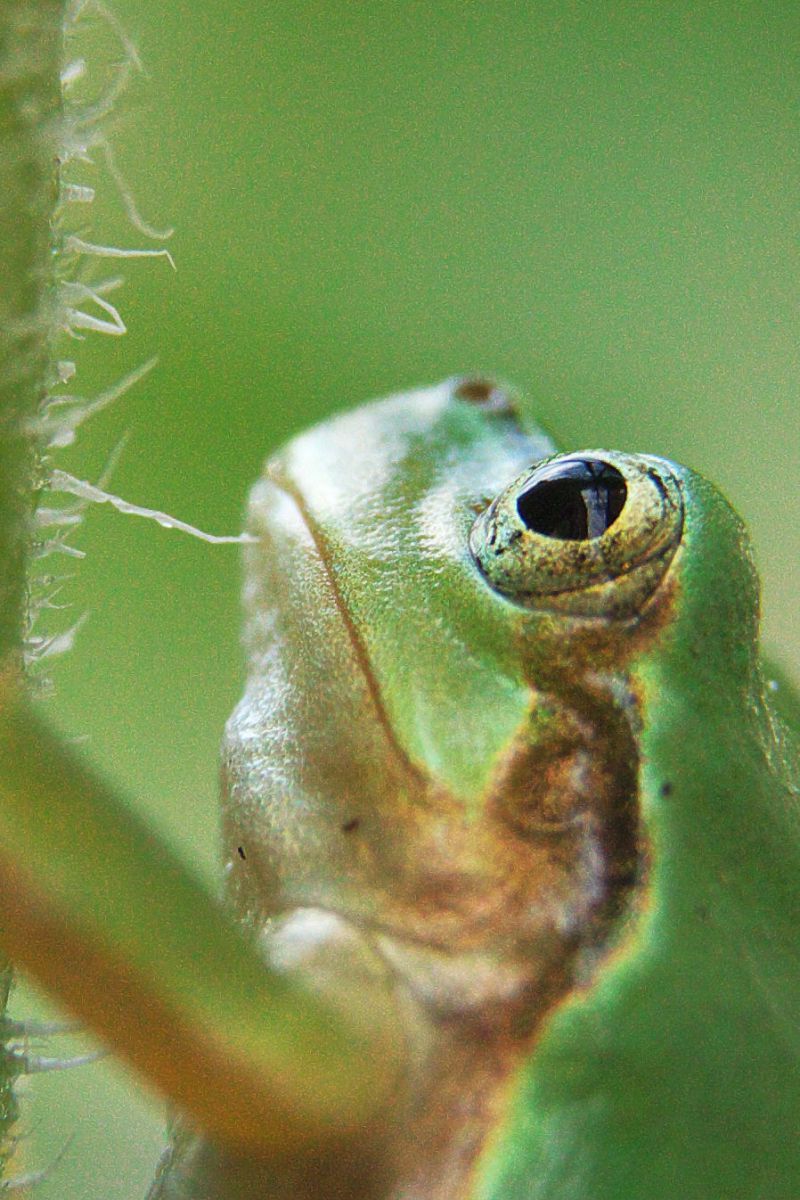 空を見つめる | GANREF