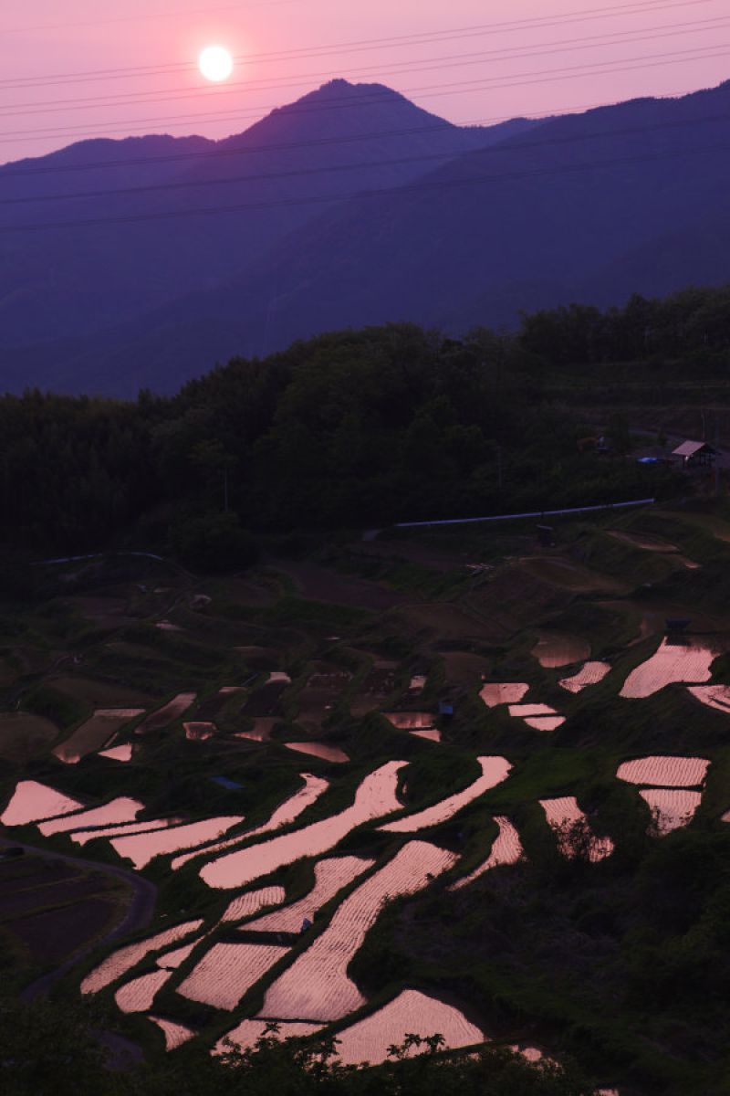 暮れる・・・棚田 | GANREF